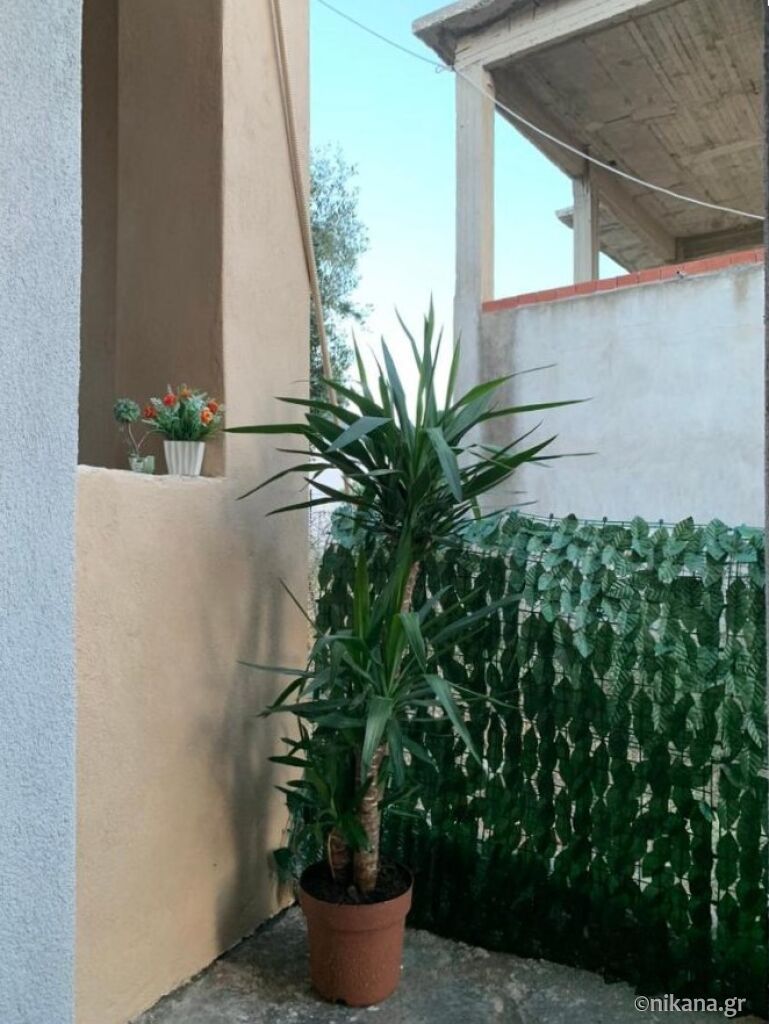 Maria Eleni House - Tasos mezonet| Nikana.gr