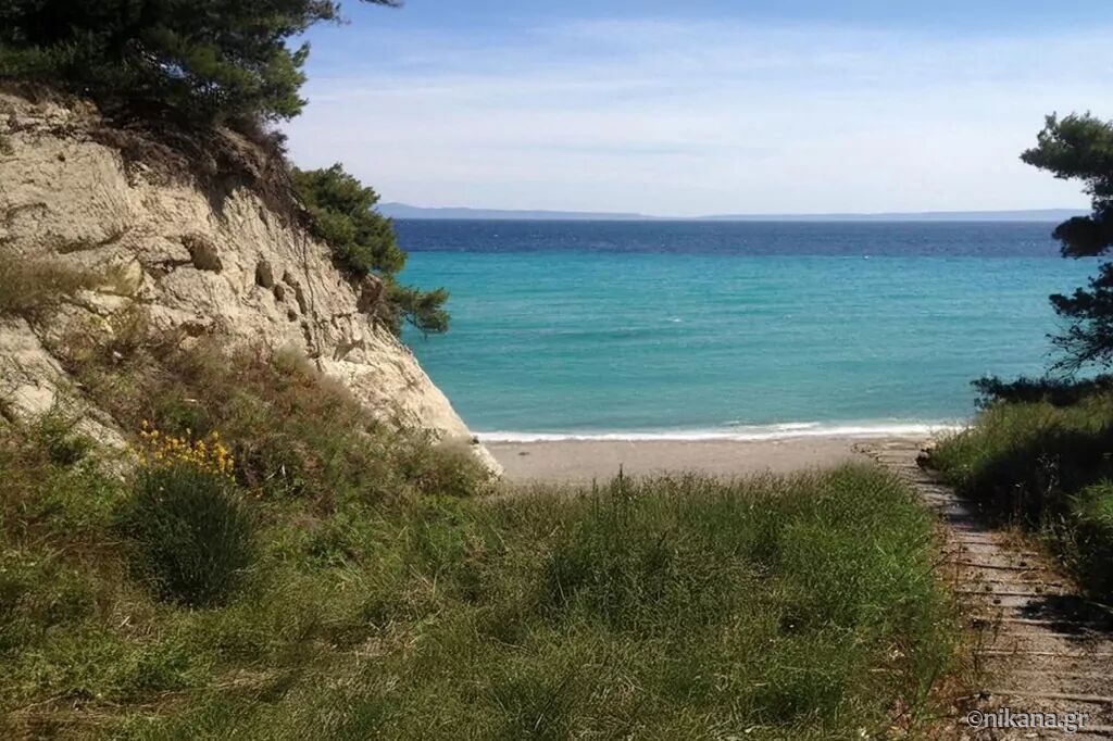 Oliva Villa - Kasandra kuca| Nikana.gr