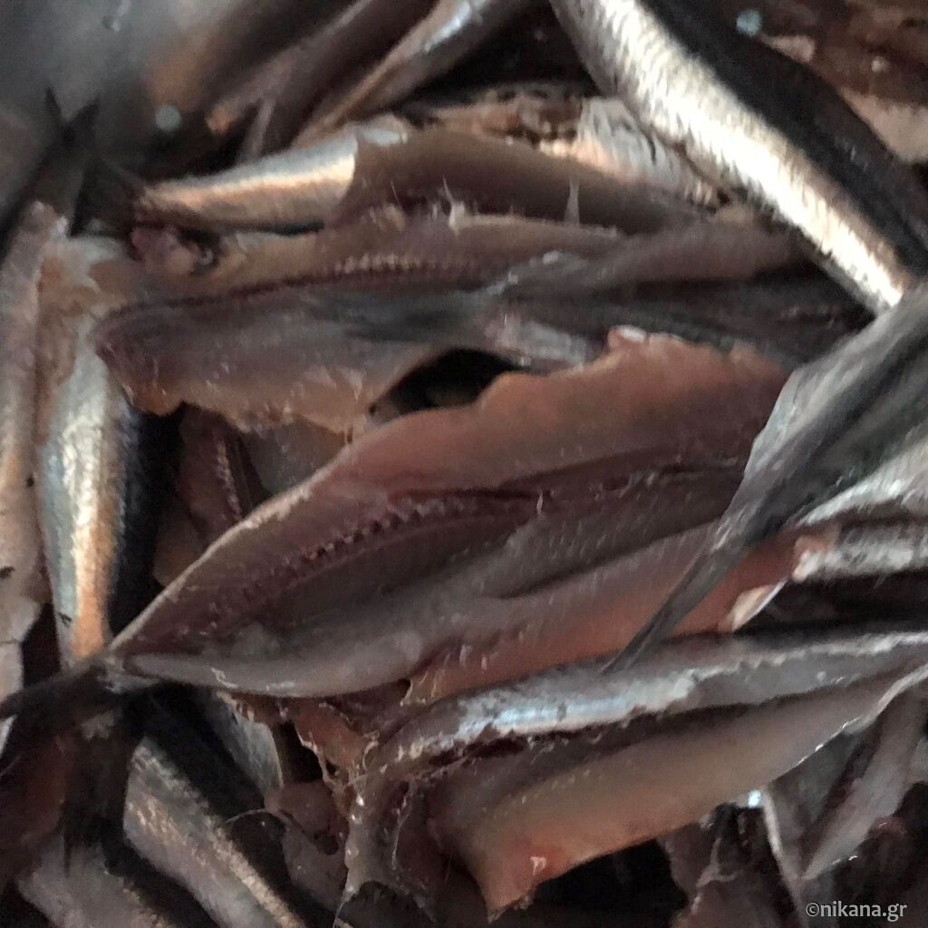 Greek Sushi: Discover Gavros Marinatos, a Marinated Anchovy Delight ...